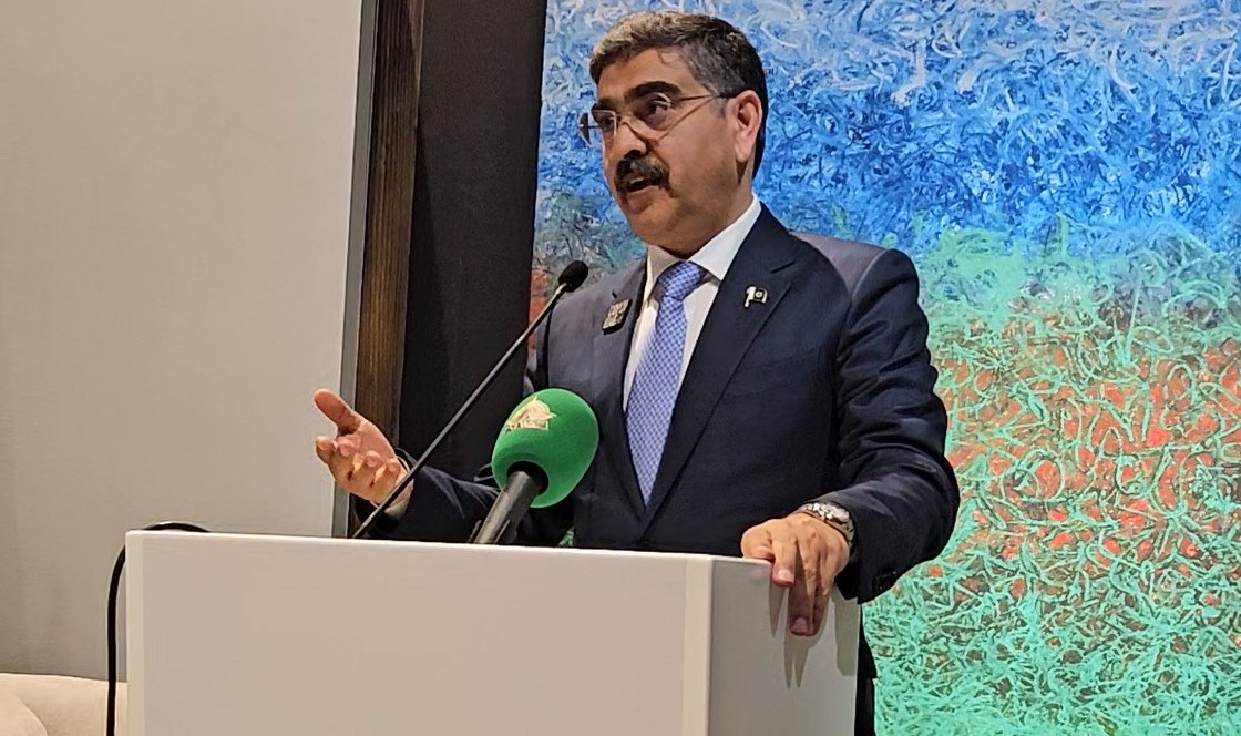 PM launches $77.8m Recharge Pakistan initiative at COP28 to tackle ...